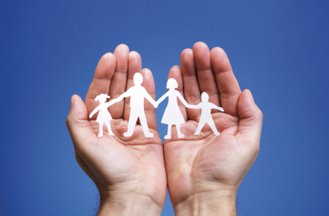 Tipos de programas estatales para el desarrollo social - Alcaldes de México