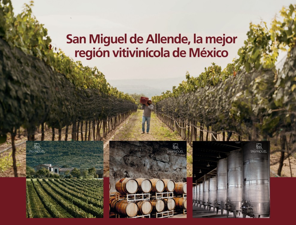 San Miguel de Allende, la mejor región vitivinícola de México ...
