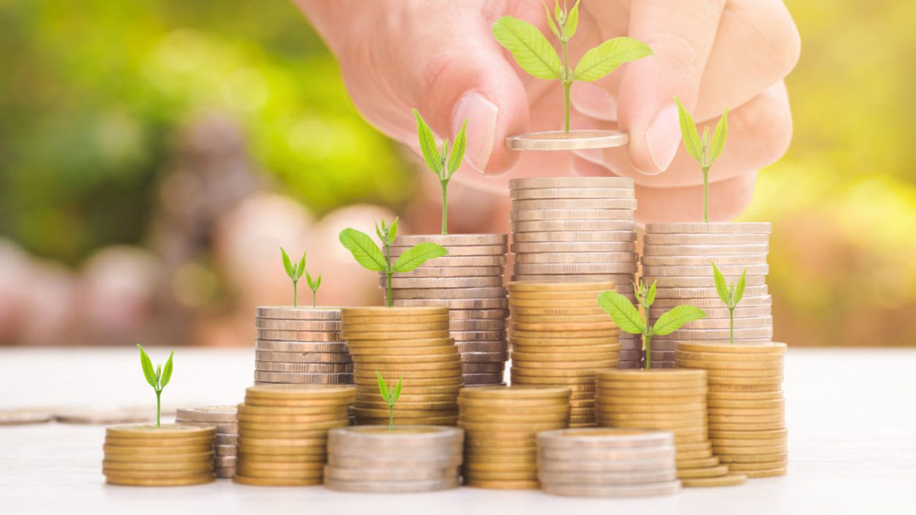 ¿Qué son los bonos verdes? | Alcaldes de México