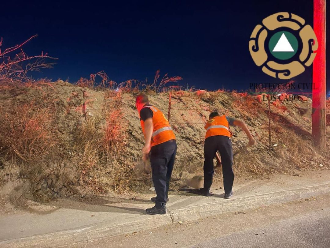 En Los Cabos, Protección Civil lista para hacer frente a Temporada de Incendios Forestales ...